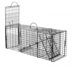 FixNation Trap-Neuter-Return TNR Trap Loan Program