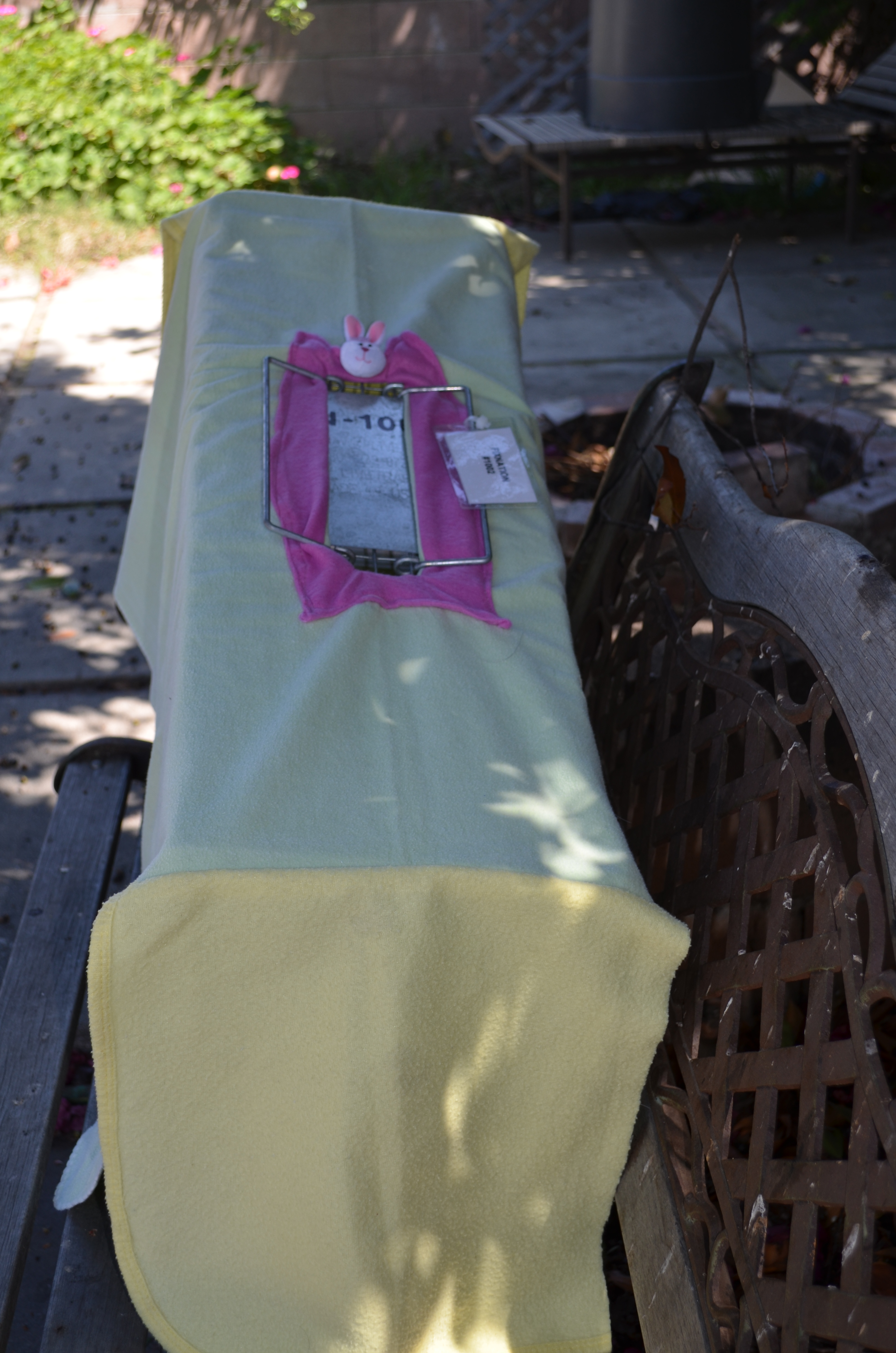 Volunteer Allie Johnson Launches a Trap Cover Project - FixNation