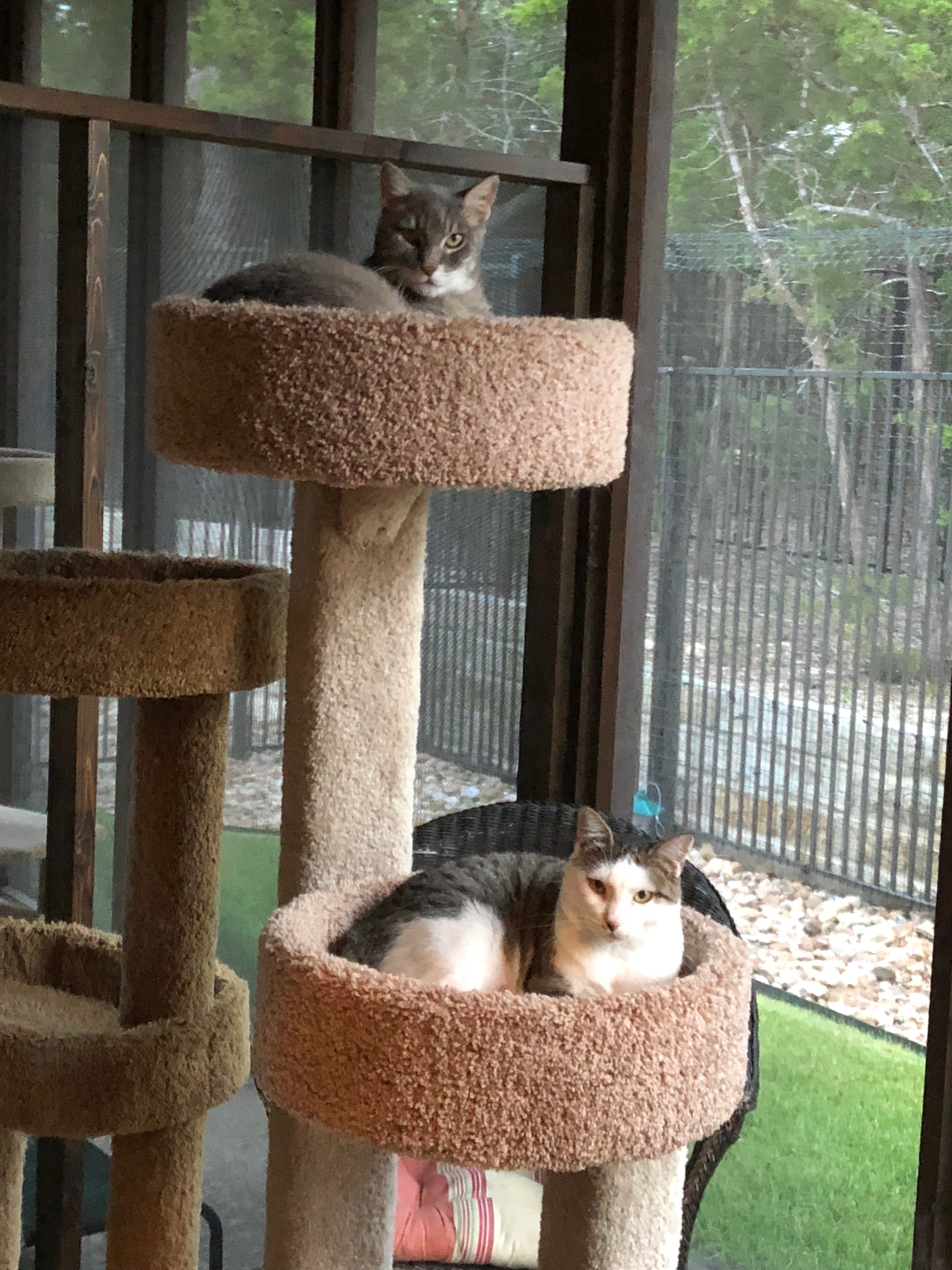 Meet children's book author Cynthia O'Brien! - FixNation